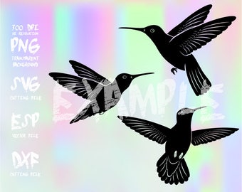 Hummingbird svg | Etsy