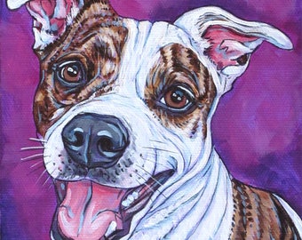 Rabbit breeds | Etsy