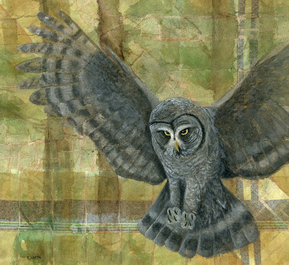 Great Gray Owl Painting Owl Art Print Bird Painting Bird