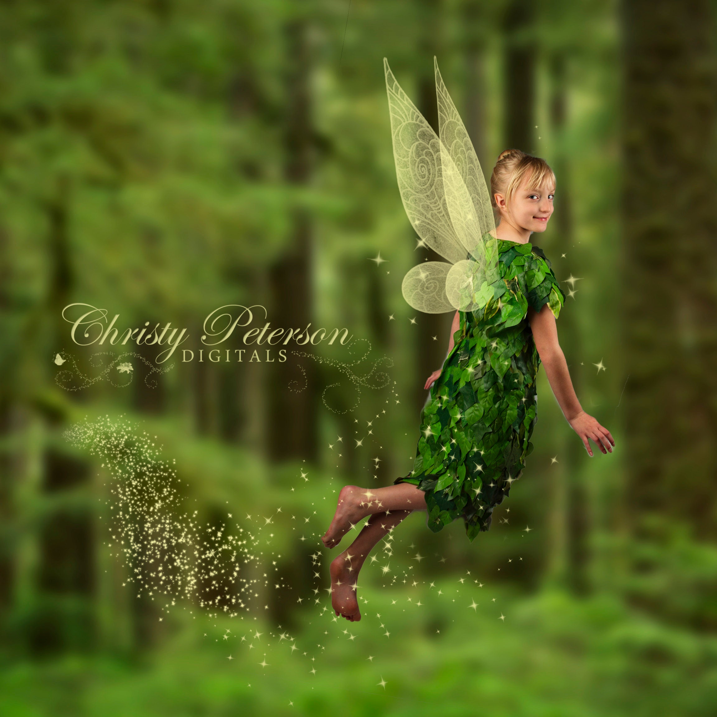 Digital Fairy Wings Backgrounds Overlays by FairyPhotography