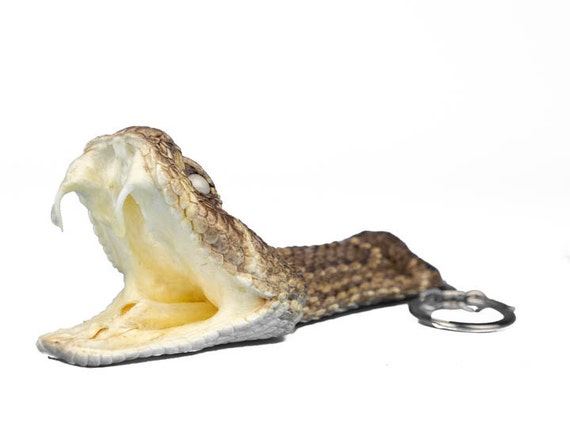 Rattlesnake Head Keychain : Wide Open Mouth 42-30W