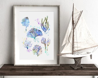 Sea life watercolor | Etsy