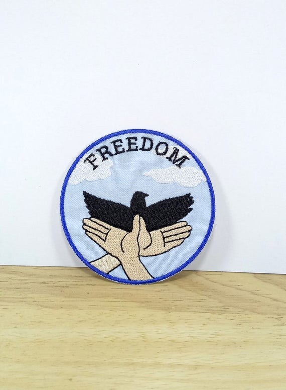Fly For Freedom Playing Light for a Freedom bird Iron on