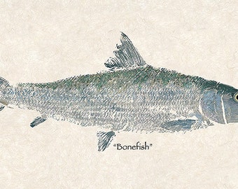 Bonefish art | Etsy