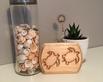 Turtle string art | Etsy