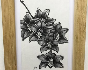 Orchid drawings | Etsy