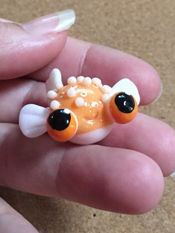 Baby Orange Blowfish