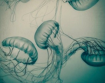 Unique deep sea art related items | Etsy