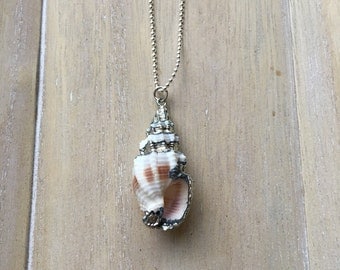 Snail shell necklace | Etsy