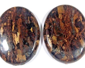 Petrified wood jasper | Etsy