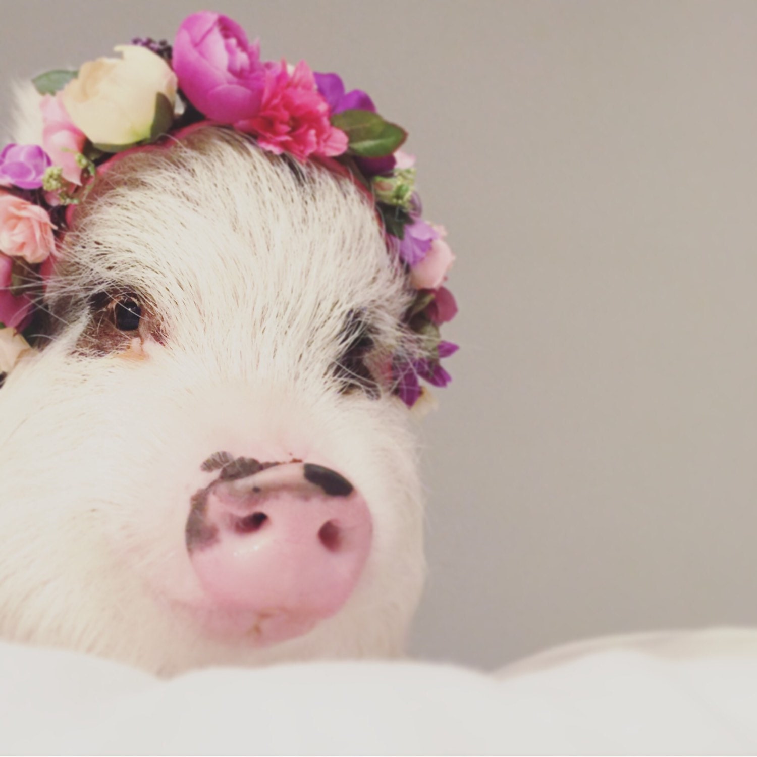Pig Flower Collars Pig Flower Crowns Animal Flower Crowns