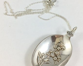 Alaska forget me not | Etsy