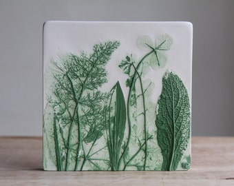 Rachel Dein Botanical Casts in Plaster and Concrete by RachelDein