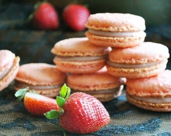 Macaroon | Etsy
