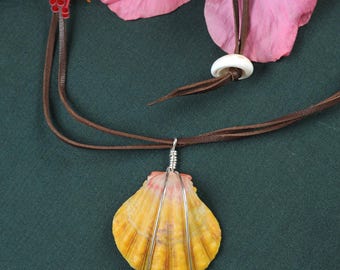 Large sunrise shell | Etsy