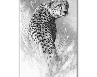 Cheetah drawing | Etsy