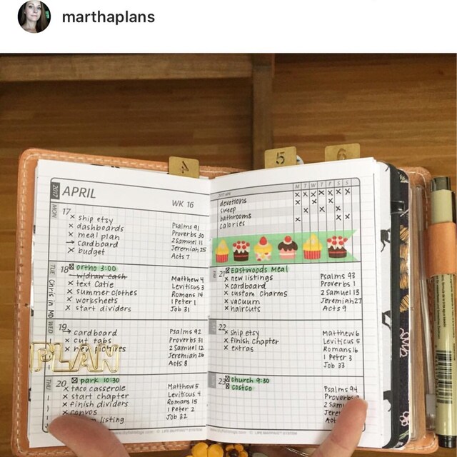 DIYfish Life Mapping™ System www.diyfishblogs.com by DIYfish