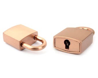 Leather Staples Leather DIY making asscessories50 Pieces