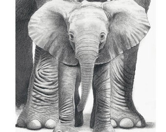 Elephant drawing | Etsy