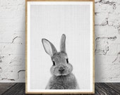 Unique rabbit print related items | Etsy
