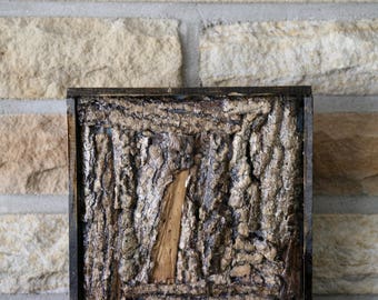 Birch bark art | Etsy