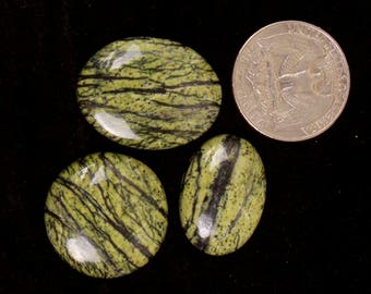 Lizard stone jasper | Etsy