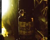 Twilight Alchemy Lab on Etsy by twilightalchemylab on Etsy