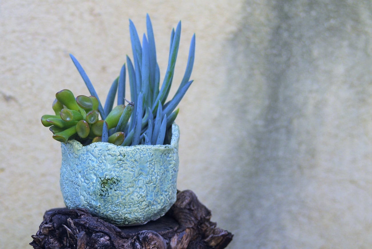 Ceramic planter. Ceramic planter pot. Succulent planter. Plant