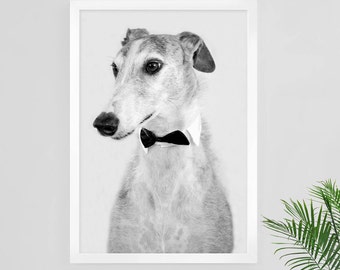 Greyhound print | Etsy