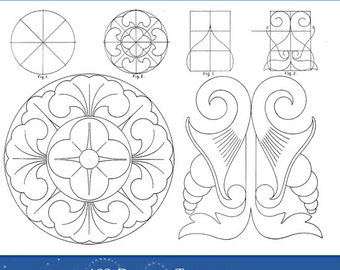 How To DRAW The ACANTHUS Rare illustrated Guide on Ornamental