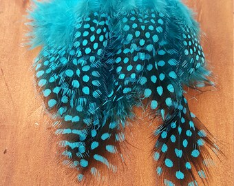 Polka Dot Feathers 1 Pack ROYAL BLUE Guinea hen plumage