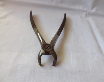 Vintage dental | Etsy