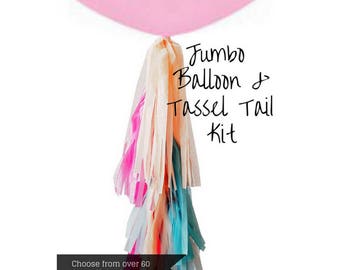 Jumbo Balloon with Tassel Tail Fringe Latex Balloon Blush