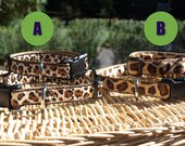Belts for Men & Boys / Stylish Dog Collars and by BeRibbon