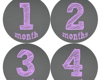 Monthly Baby Stickers Baby Month Stickers Baby by MonthsinMotion