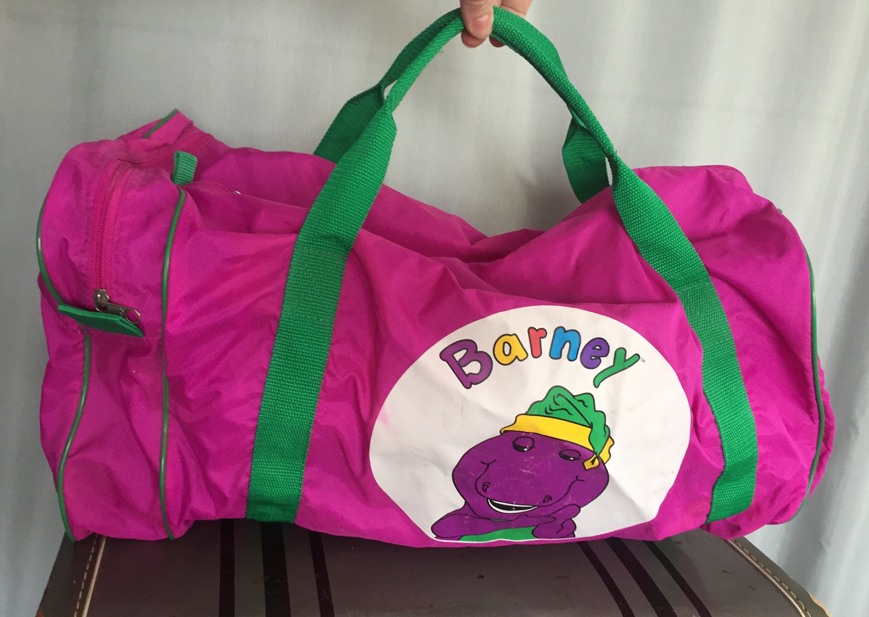 Barney Bag Vintage Duffel Bag Tote Nylone Purple Green Straps