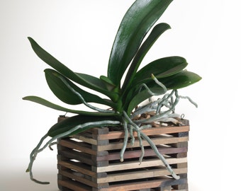 Orchid planters | Etsy