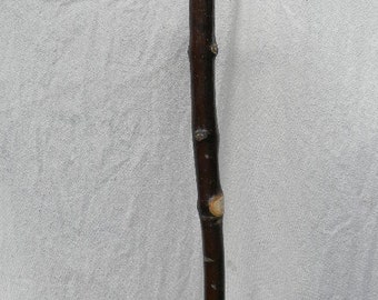 Walking cane | Etsy