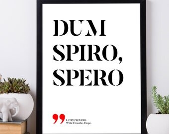 Dum spiro spero | Etsy