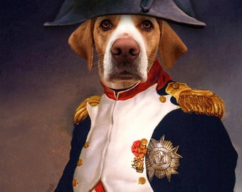 Napoleon costume | Etsy