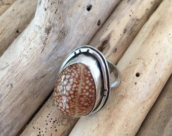 Cowrie shell ring | Etsy