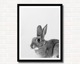 Bunny rabbit print | Etsy