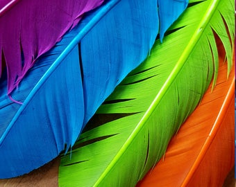 Neon feathers | Etsy