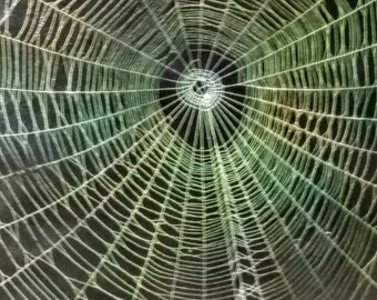 Unique be nice to spiders related items | Etsy