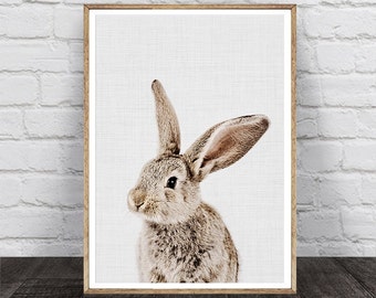Rabbit art | Etsy