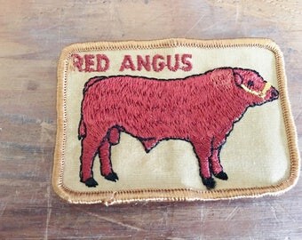 Angus cow | Etsy