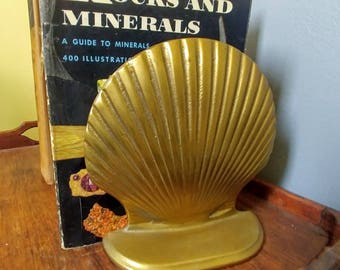 Shell bookends | Etsy