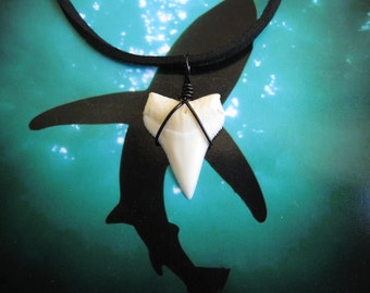 The Shark Tooth Shop by TheSharkToothShop on Etsy