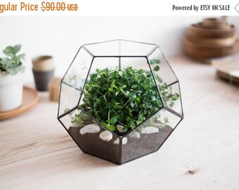Unique terrarium containers related items | Etsy