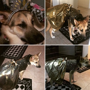 Star Spangled Girl Dog Harness Dress XXSmall to 4XLarge Dog